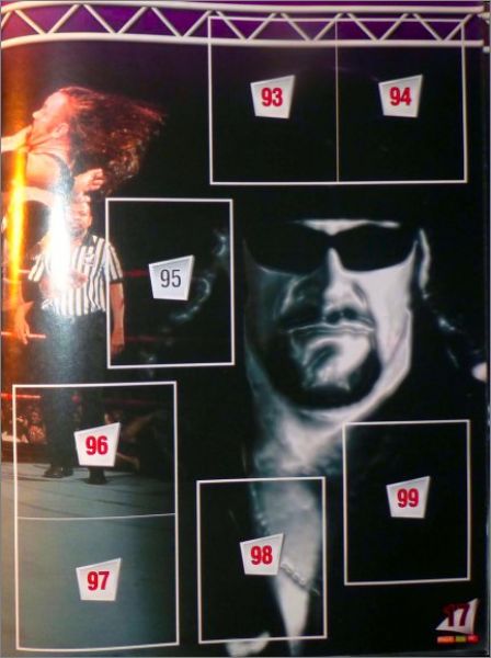 World Wrestling Federation (WWF) Metal - Magic Box Int Combat