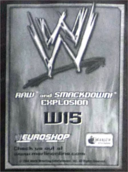 WWE raw and smackdown explosion - Merlin - 2004 Combat / Arts