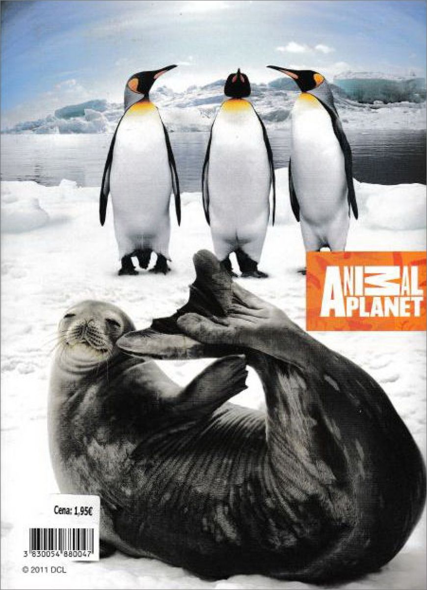 Animal Planet - Sticker Album - Royal International - 2011 Autres