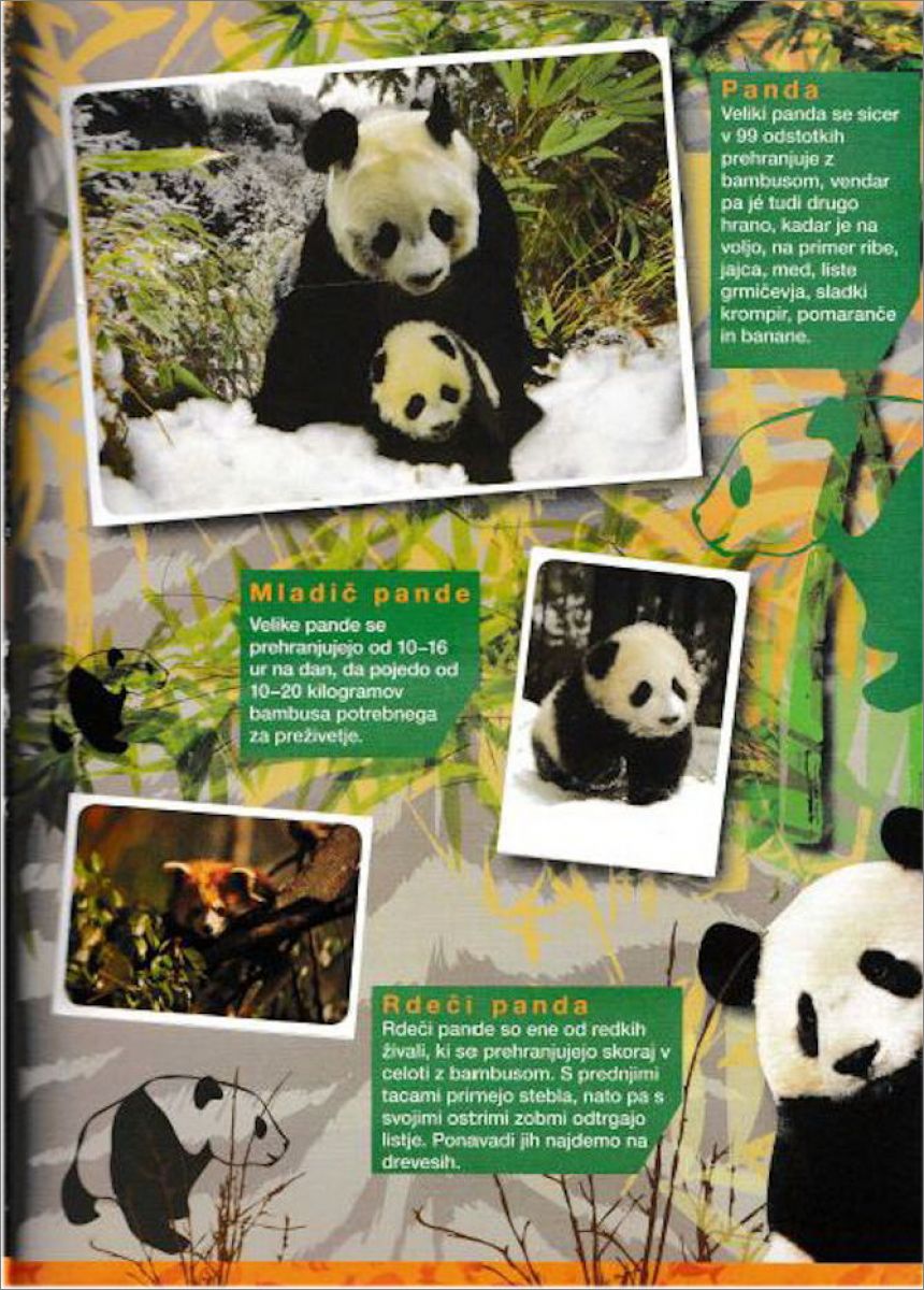 Animal Planet - Sticker Album - Royal International - 2011 Autres