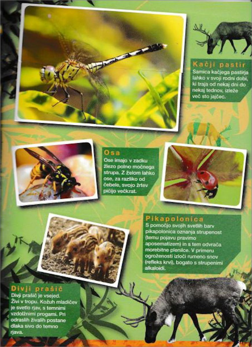 Animal Planet - Sticker Album - Royal International - 2011 Autres