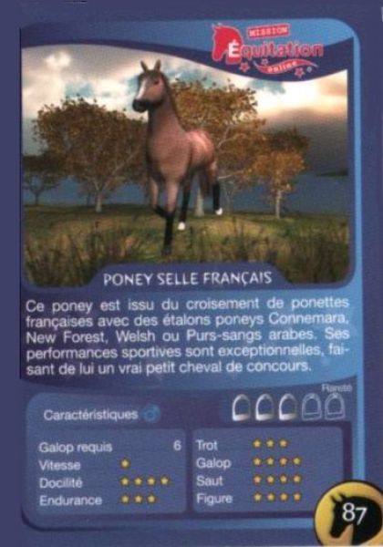 Mission Equitation - Online Trading Cards - Panini - 2008 Chevaux